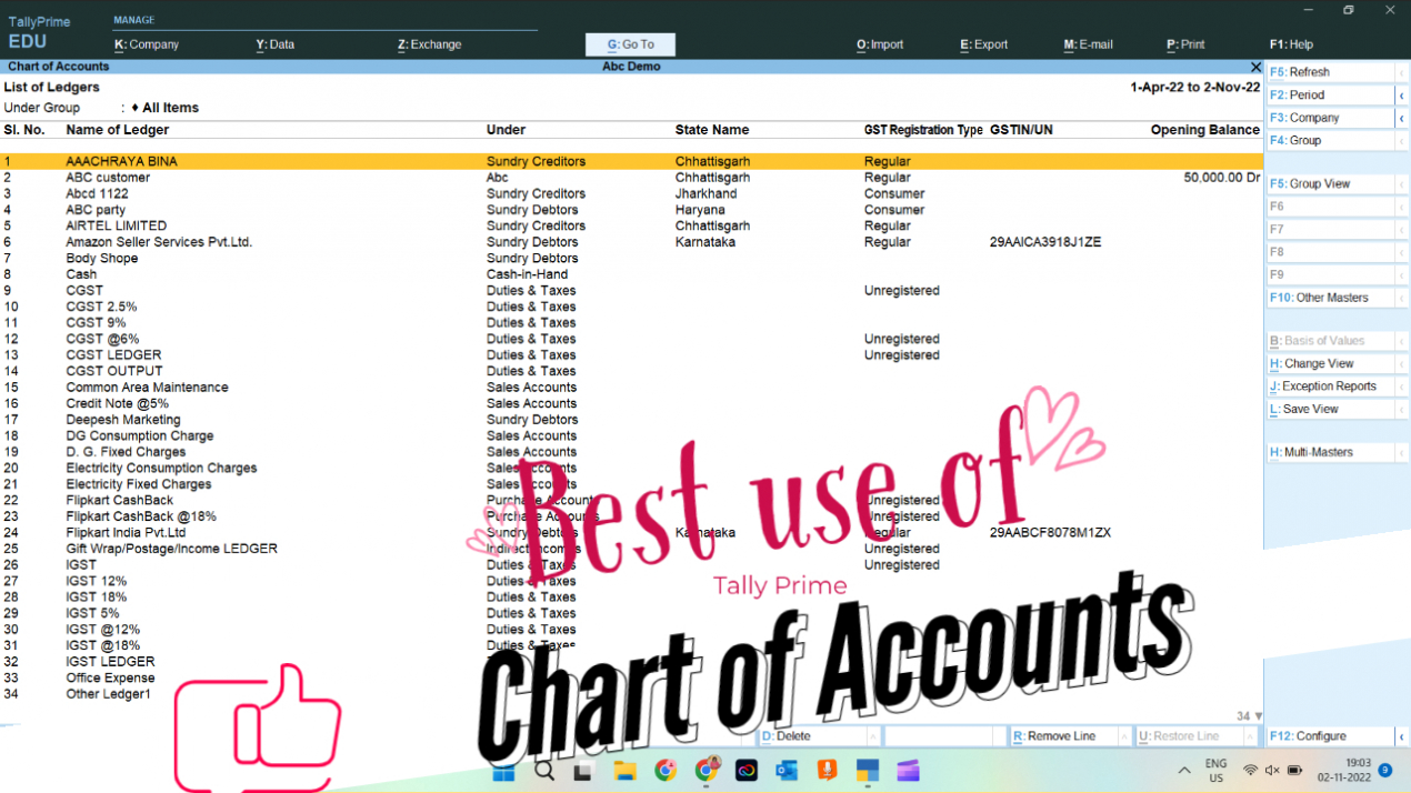 5 best Usability of Tally Prime Chart of Accounts | Used and Unused ...